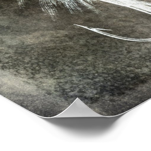 Fishing Lure - Fly Fishing Angling Fish Hook Poster | Zazzle