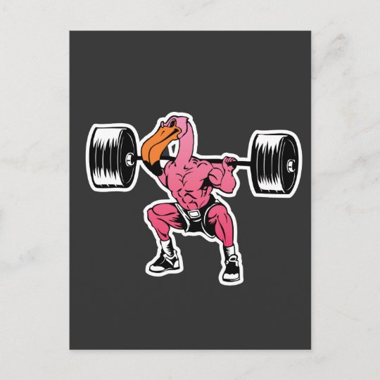 Fitness Flamingo Weightlifting Bodybuilder Muscle Postcard | Zazzle.com
