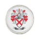 Fitzgerald Coat of Arms Pin | Zazzle