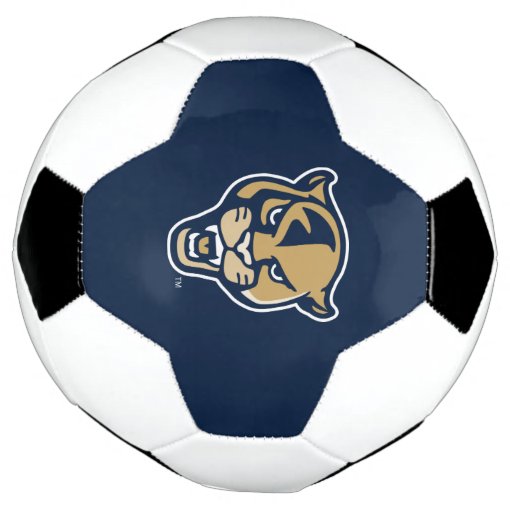 FIU Panther Head Soccer Ball | Zazzle