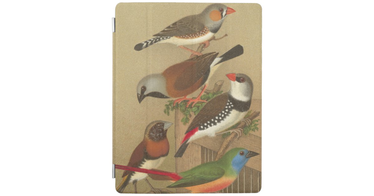 Five Colorful Pet Birds Perched on a Branch iPad Smart Cover | Zazzle