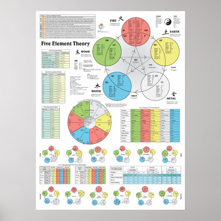 Five Elements of Acupuncture Points Chart | Zazzle