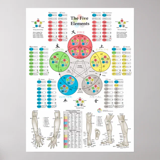 Five Elements of Acupuncture Points Poster | Zazzle