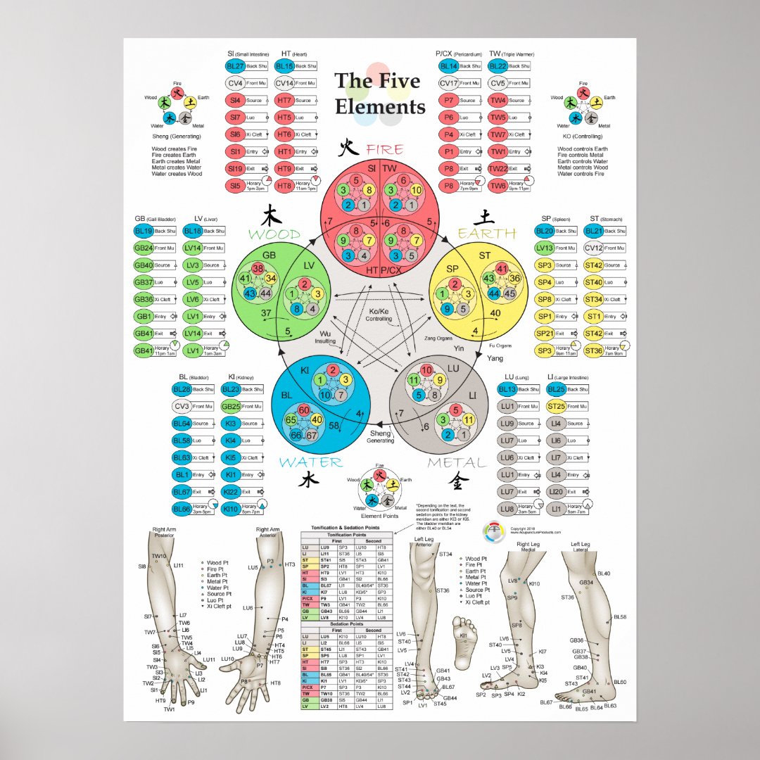Five Elements of Acupuncture Points Poster | Zazzle