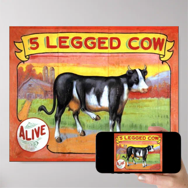 Five Legged Cow Poster | Zazzle
