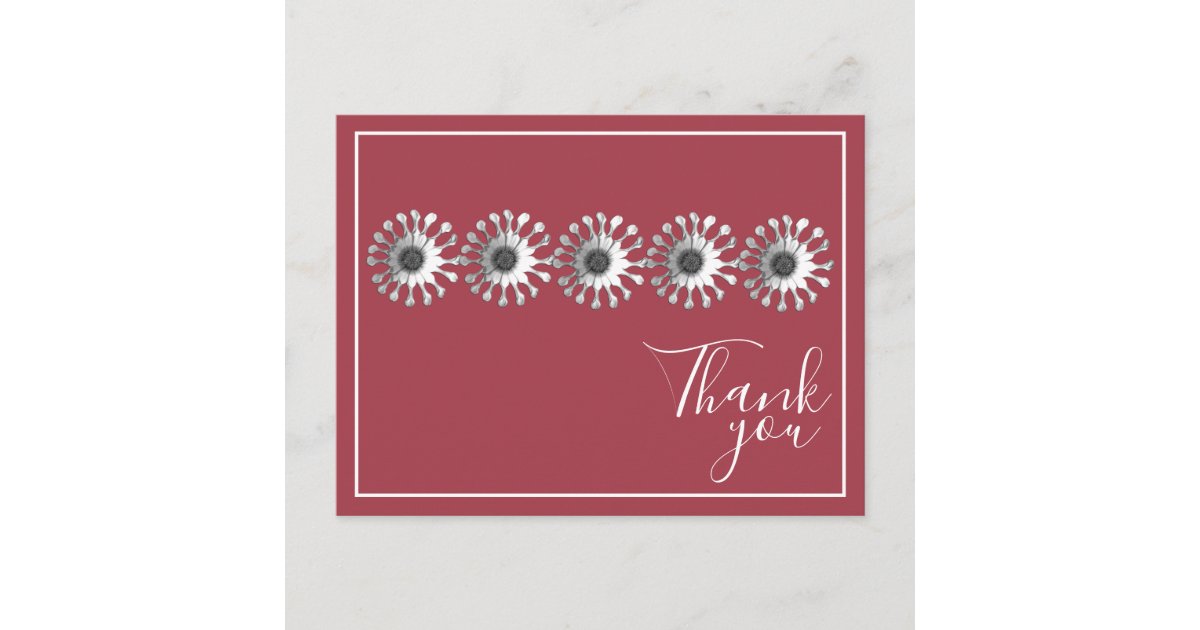 Five White Daisies Red Background Thank You Postcard | Zazzle