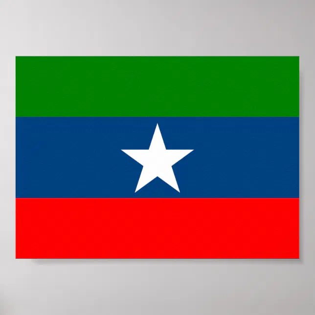 Flag of Ogaden Poster | Zazzle