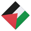 Flag of Palestine Graduation Cap Topper | Zazzle