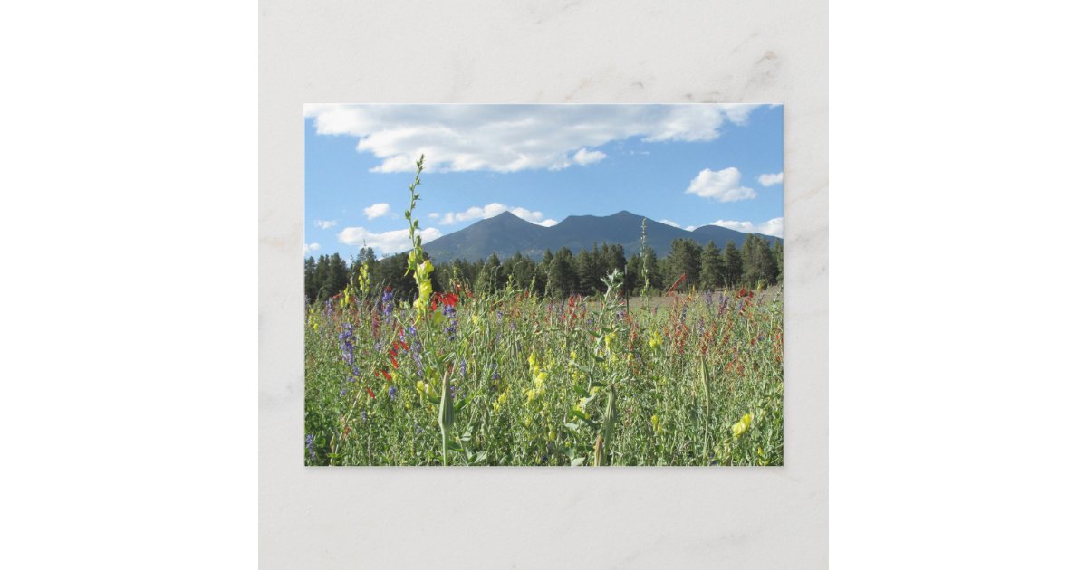 Flagstaff, AZ Postcard | Zazzle