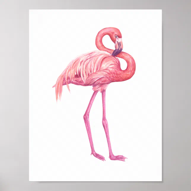 Flamingo 2 poster | Zazzle