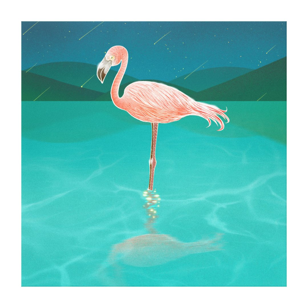 FLAMINGO AT NIGHT ART PRINT STRETCHED CANVAS | Zazzle
