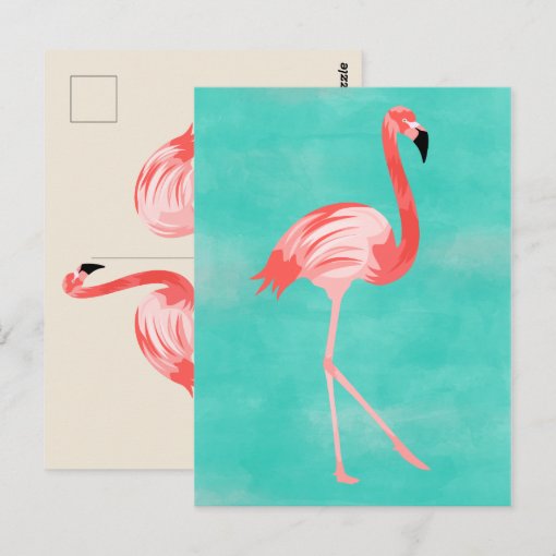 Flamingo Bird Postcard | Zazzle