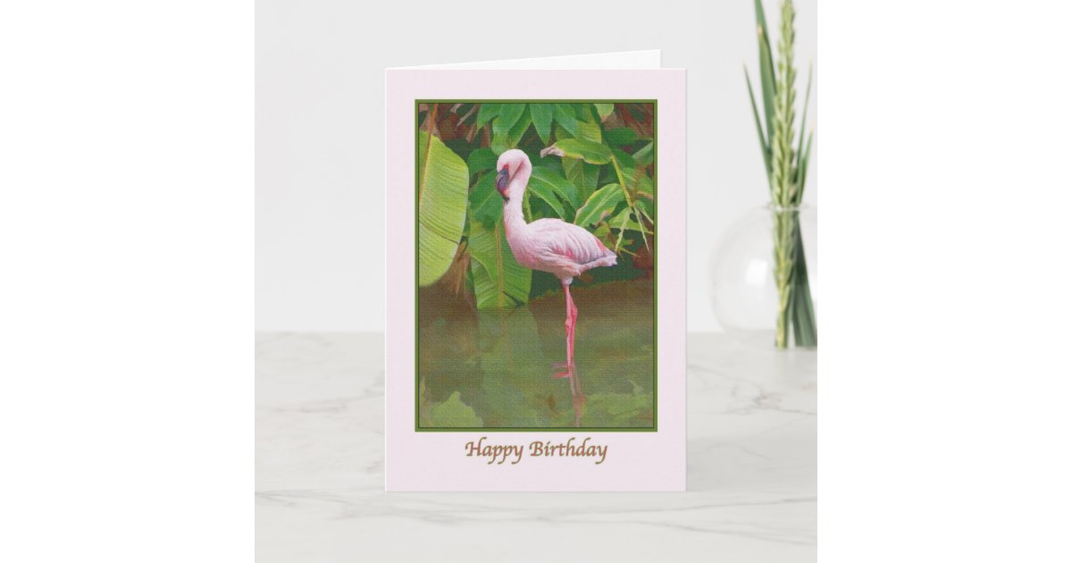 Flamingo Birthday Card | Zazzle