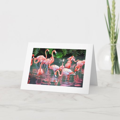 Flamingo Birthday Card | Zazzle