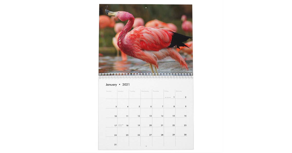 Flamingo Calendar | Zazzle.com