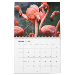 Flamingo Calendar | Zazzle