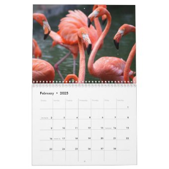 Flamingo Calendar | Zazzle