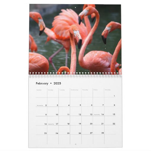 Flamingo Calendar | Zazzle