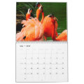 Flamingo Calendar | Zazzle