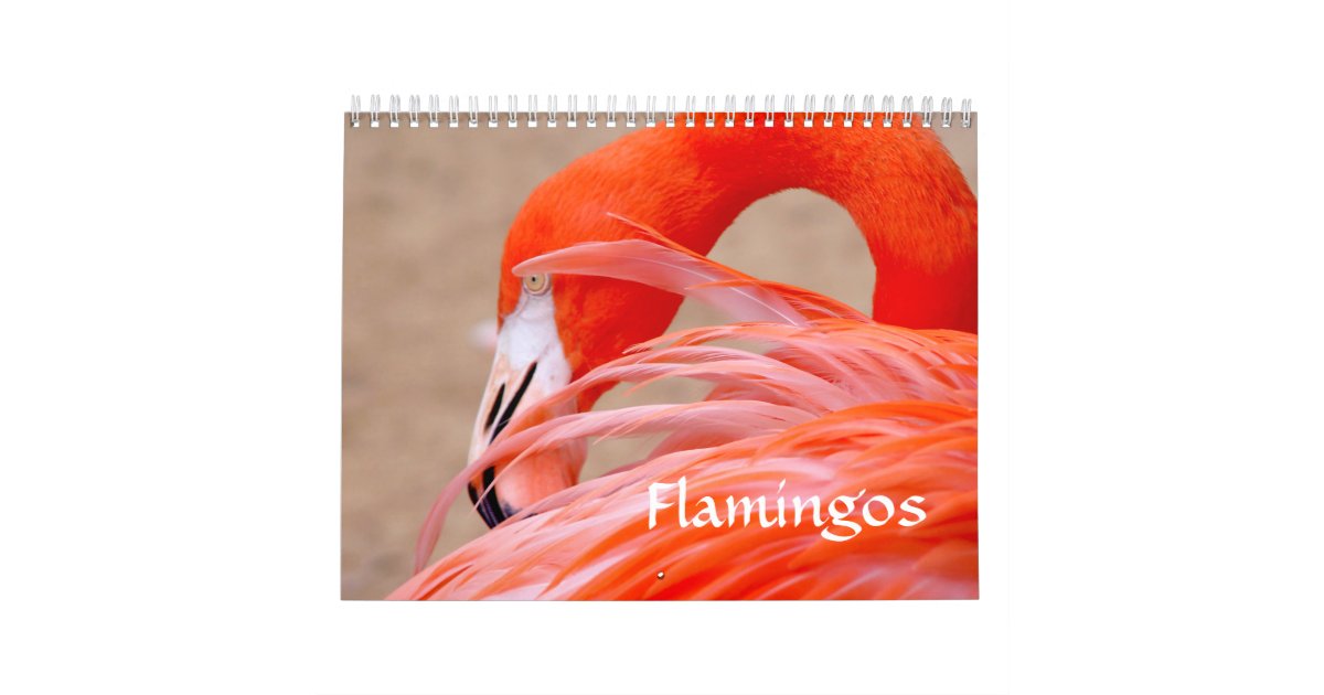 Flamingo Calendar | Zazzle