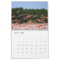 Flamingo Calendar | Zazzle