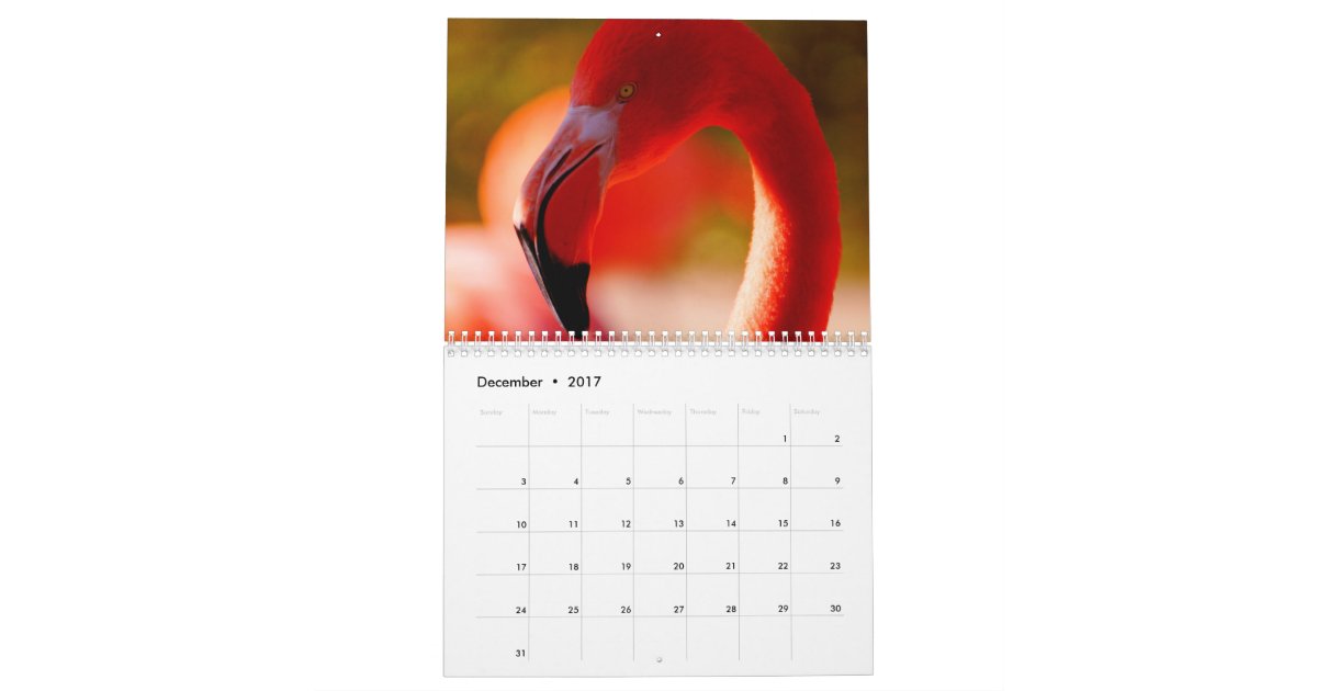 Flamingo Calendar | Zazzle