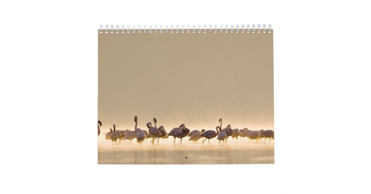 Flamingo Calendar | Zazzle