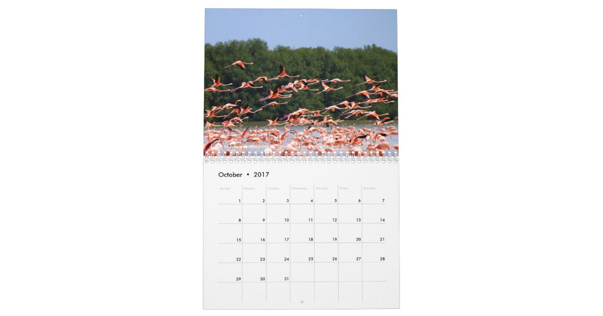 Flamingo Calendar | Zazzle
