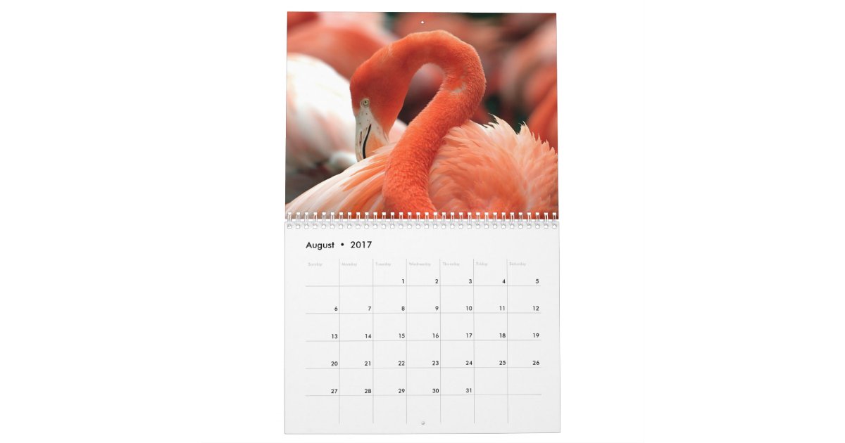 Flamingo Calendar | Zazzle