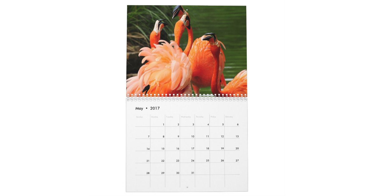 Flamingo Calendar | Zazzle