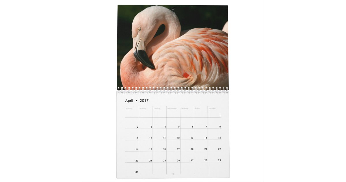 Flamingo Calendar | Zazzle