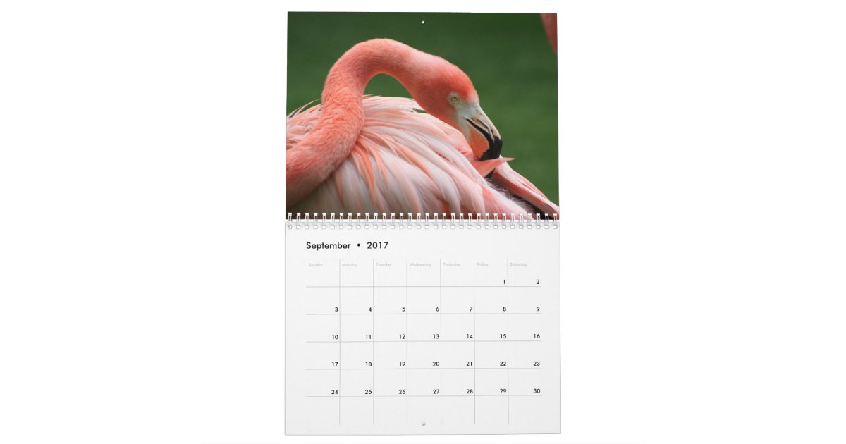 Flamingo Calendar | Zazzle