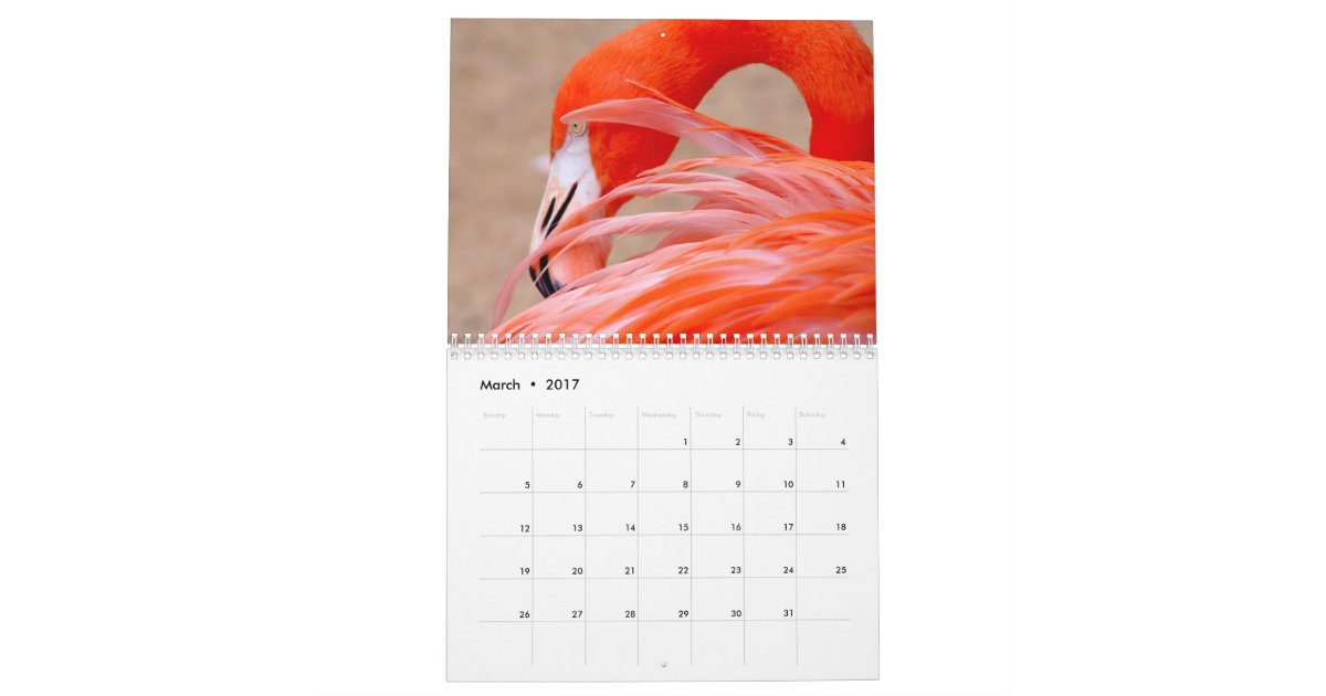 Flamingo Calendar | Zazzle