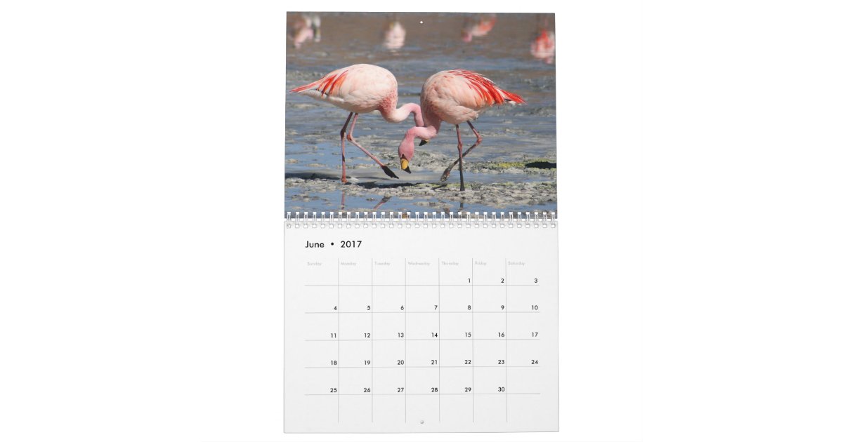 Flamingo Calendar | Zazzle