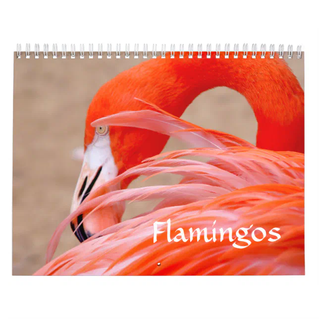 Flamingo Calendar | Zazzle