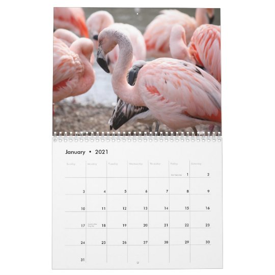 Flamingo Calendar | Zazzle.com
