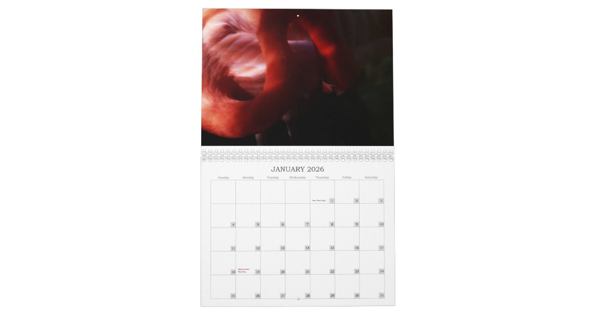Flamingo Calendar | Zazzle