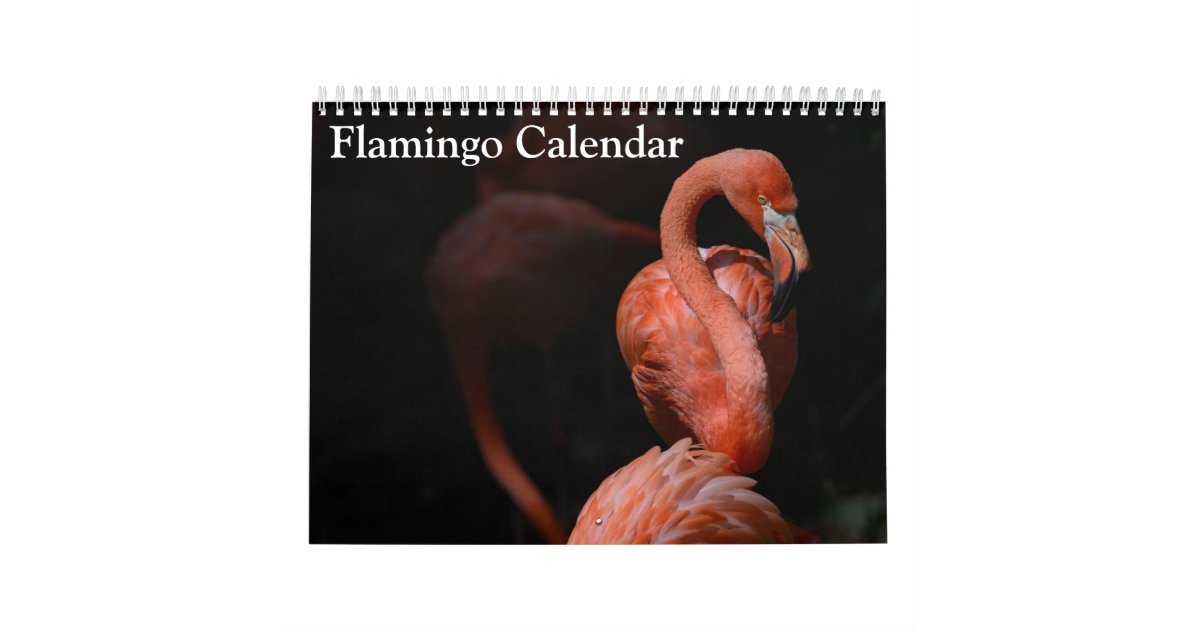 Flamingo Calendar 2024 | Zazzle