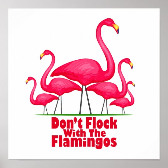 Flamingo Flamingo Poster | Zazzle.com