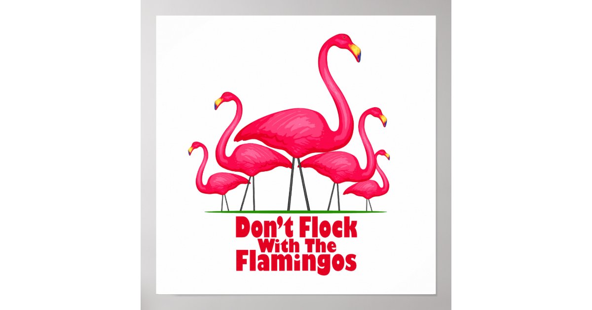 Flamingo Flamingo Poster | Zazzle