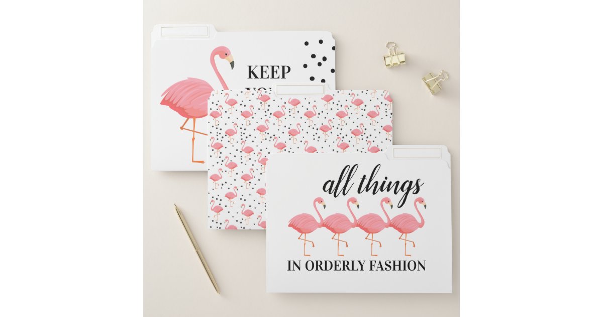 Flamingo Flare File Folders | Zazzle