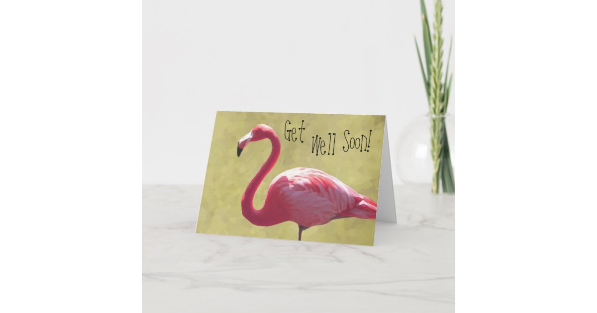 Flamingo Get Well Soon Card | Zazzle
