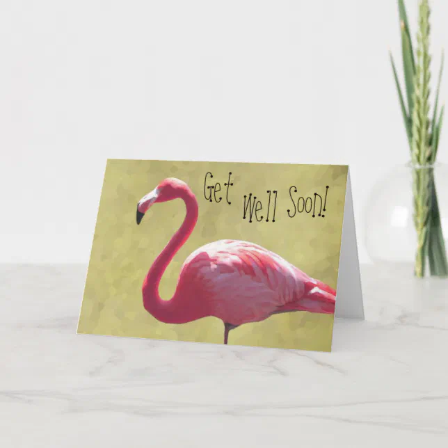 Flamingo Get Well Soon Card | Zazzle