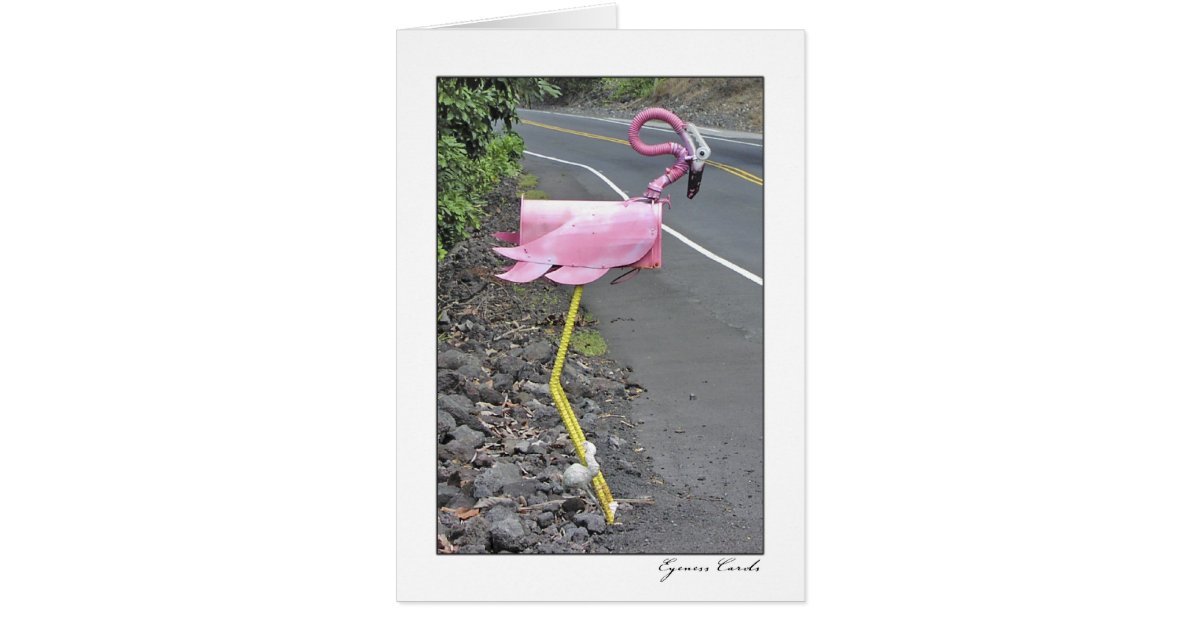 Flamingo Mailbox | Zazzle