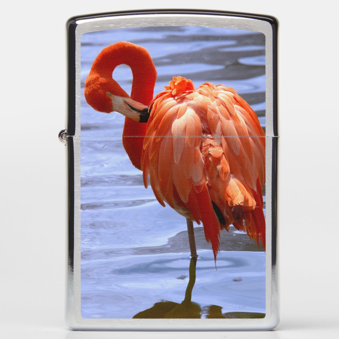Flamingo on one leg in water zippo lighter | Zazzle