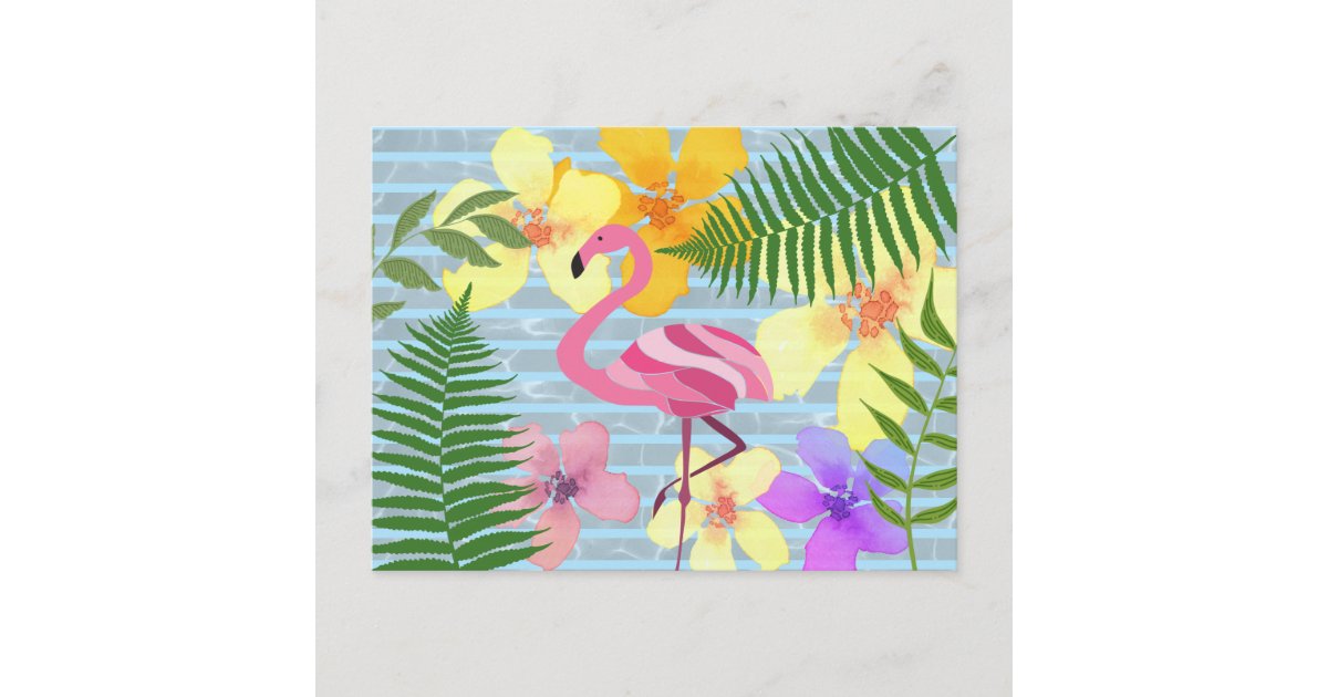 Flamingo Postcard | Zazzle