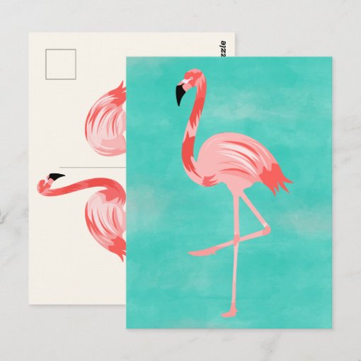 Flamingo Postcard | Zazzle