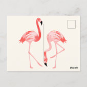 Flamingo Postcard | Zazzle