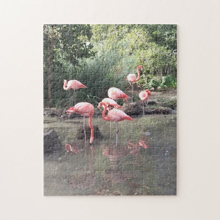 Flamingo Puzzle | Zazzle.com