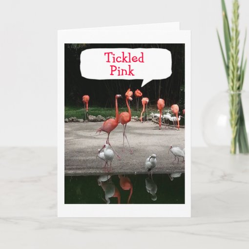 FLAMINGOS ARE "TICKLED PINK" IT IS YOUR BIRTHDAY CARD | Zazzle